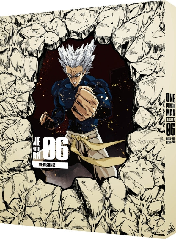 【animate】(DVD) One Punch Man TV Series SEASON 26 [Deluxe Limited ...