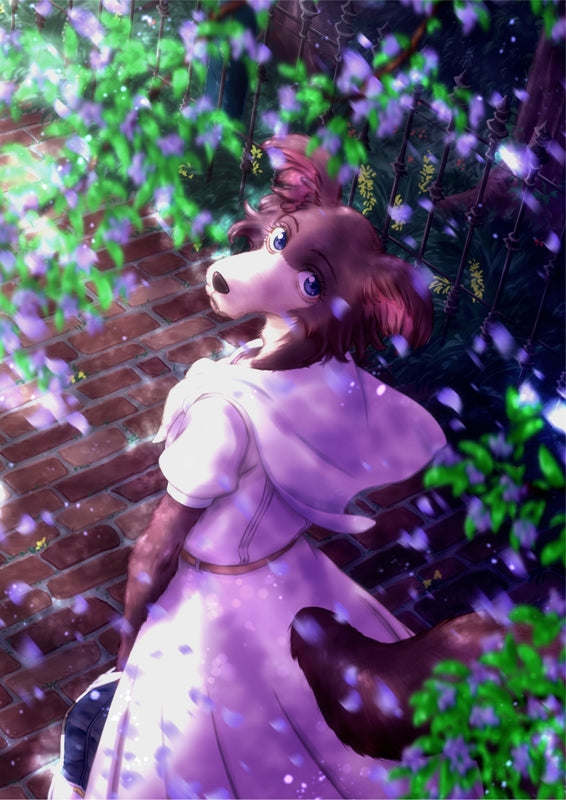 【animate】(DVD) BEASTARS TV Series Vol. 4 [First Run Limited Edition ...