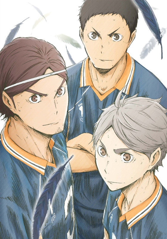 【animate】(DVD) Haikyu!! Karasuno High School vs Shiratorizawa Academy ...