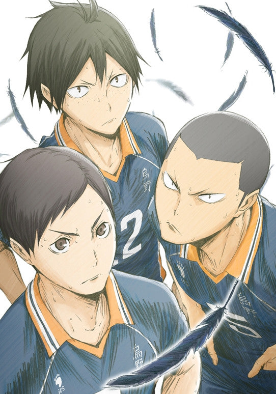 【animate】(DVD) Haikyu!! Karasuno High School vs Shiratorizawa Academy ...