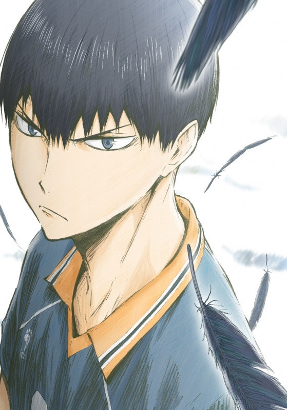 【animate】(DVD) Haikyu!! Karasuno High School vs Shiratorizawa Academy ...